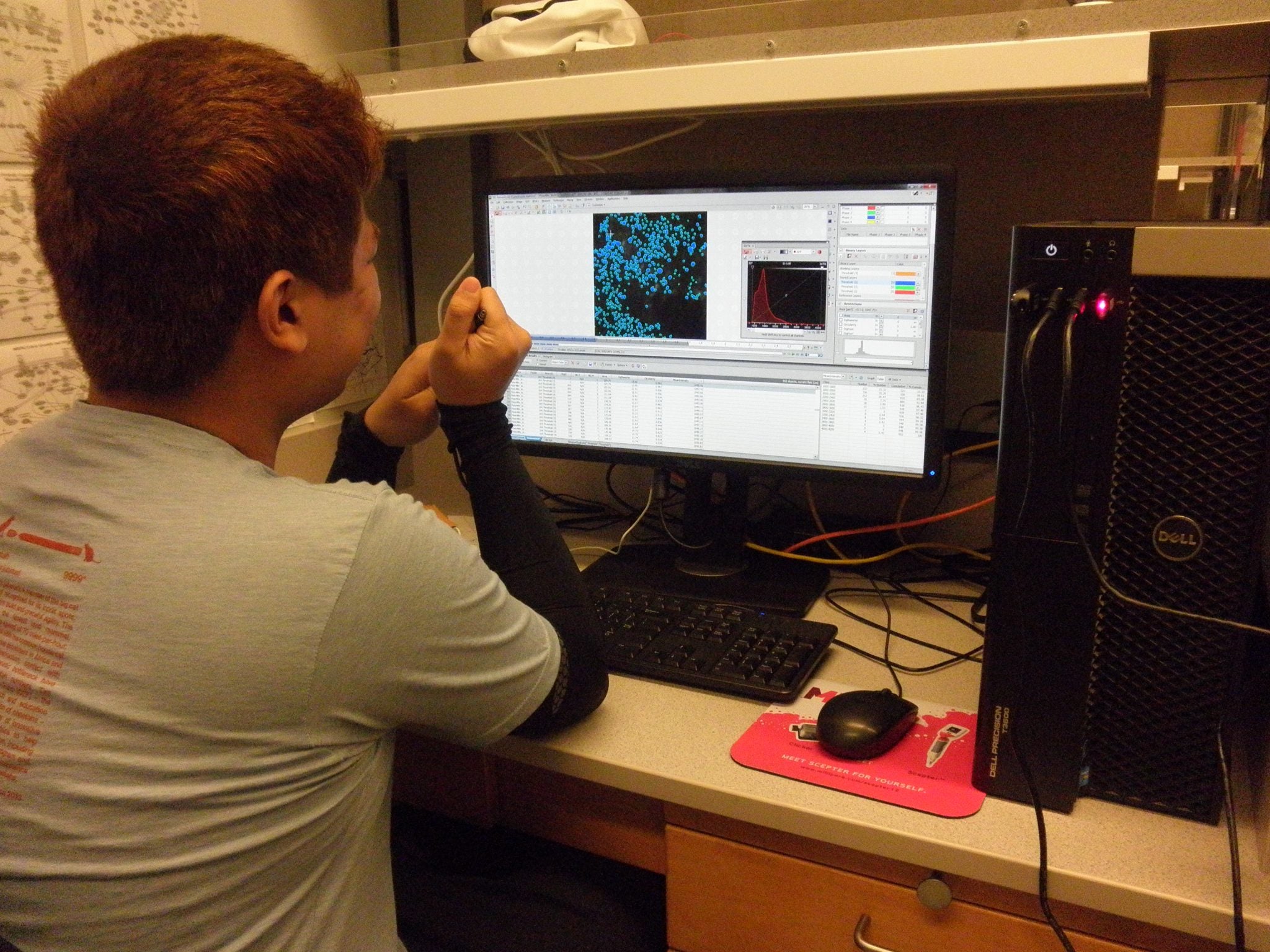 Lab Culture – Albeck Lab