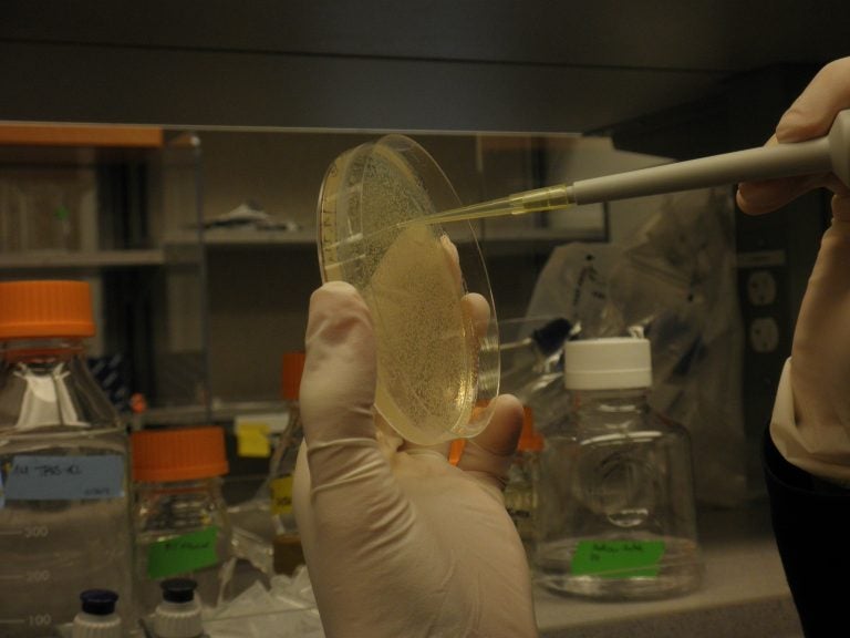 Lab Culture – Albeck Lab